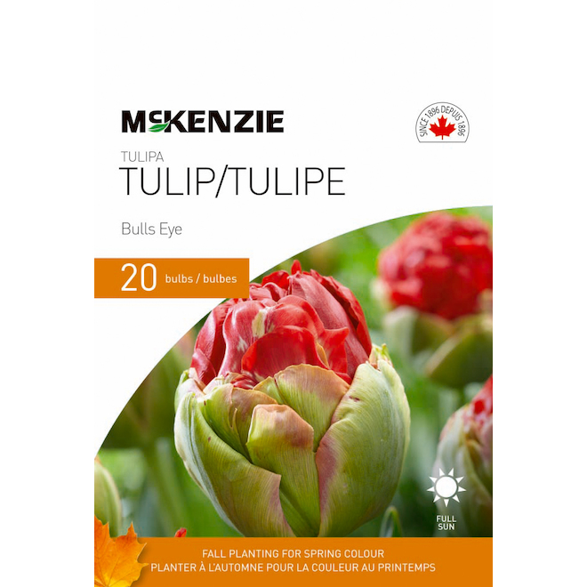 McKenzie 20 Bulls EyeTulip Bulbs 141343 R no D p t mckenzie-20-bulls-eyetulip-bulbs-141343-r-no-d-p-t